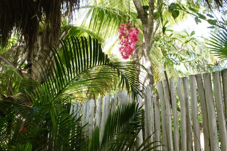 Staying at Coco Tulum - The Republic of Rose